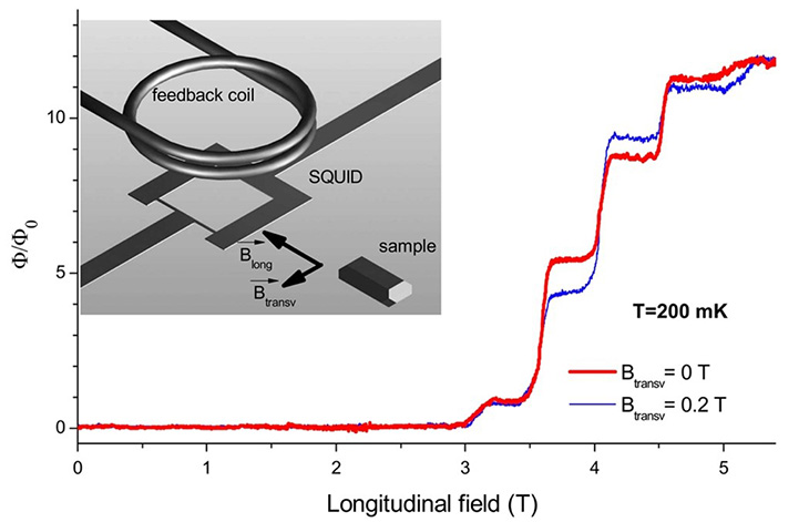 Quantum Spin Dynamics - Research Program - MagLab